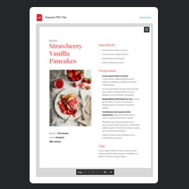 30+ Best PDF Embed Templates for Websites [free]