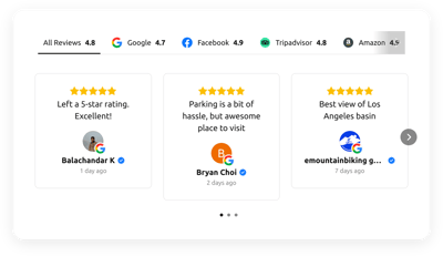 Embed Free Carousel Reviews Template on Your Website