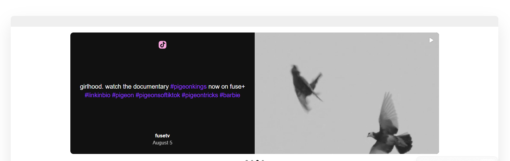 Learn to embed no-code TikTok Feed widget into websites for free