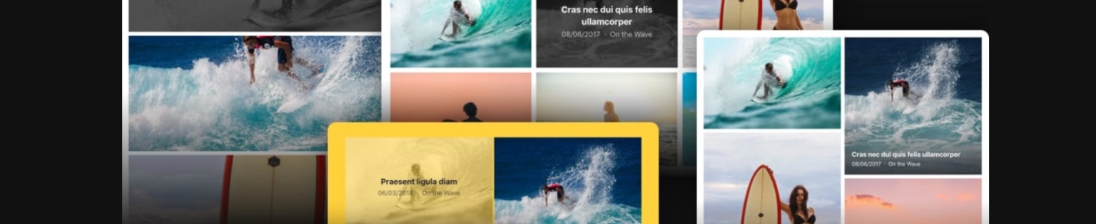 How to Add Portfolio to WordPress with Elfsight Plugin (Widget)