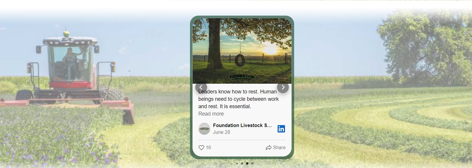 How to Embed LinkedIn Feed on Website [ 2025 ]