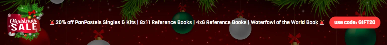 11 Best Website Notification Bar Examples